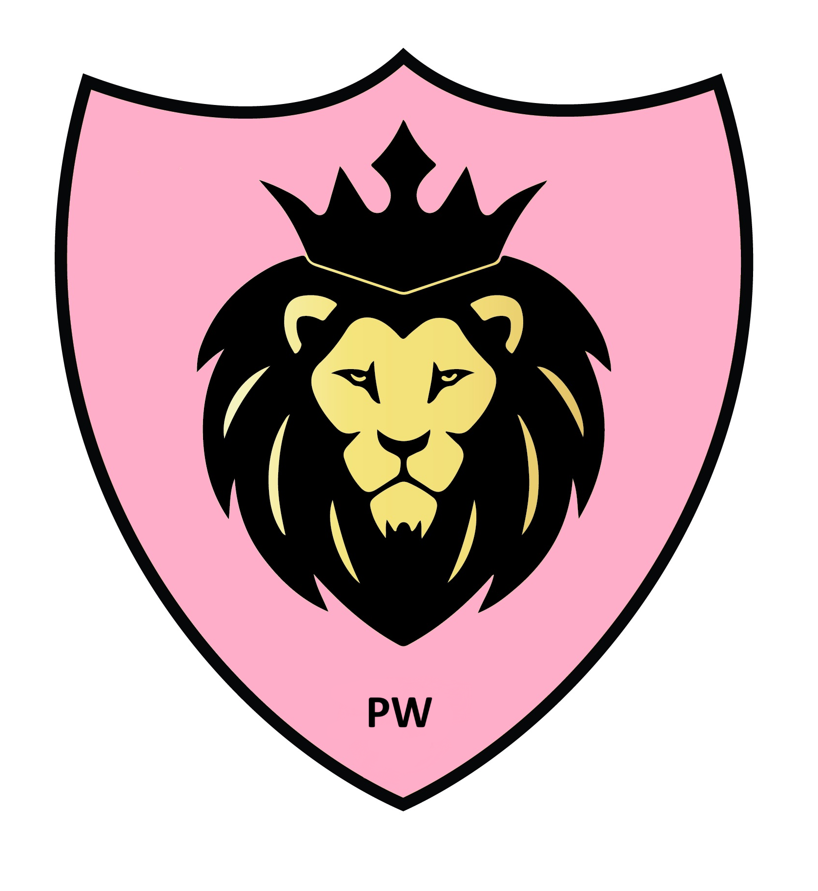 American Premier Soccer League