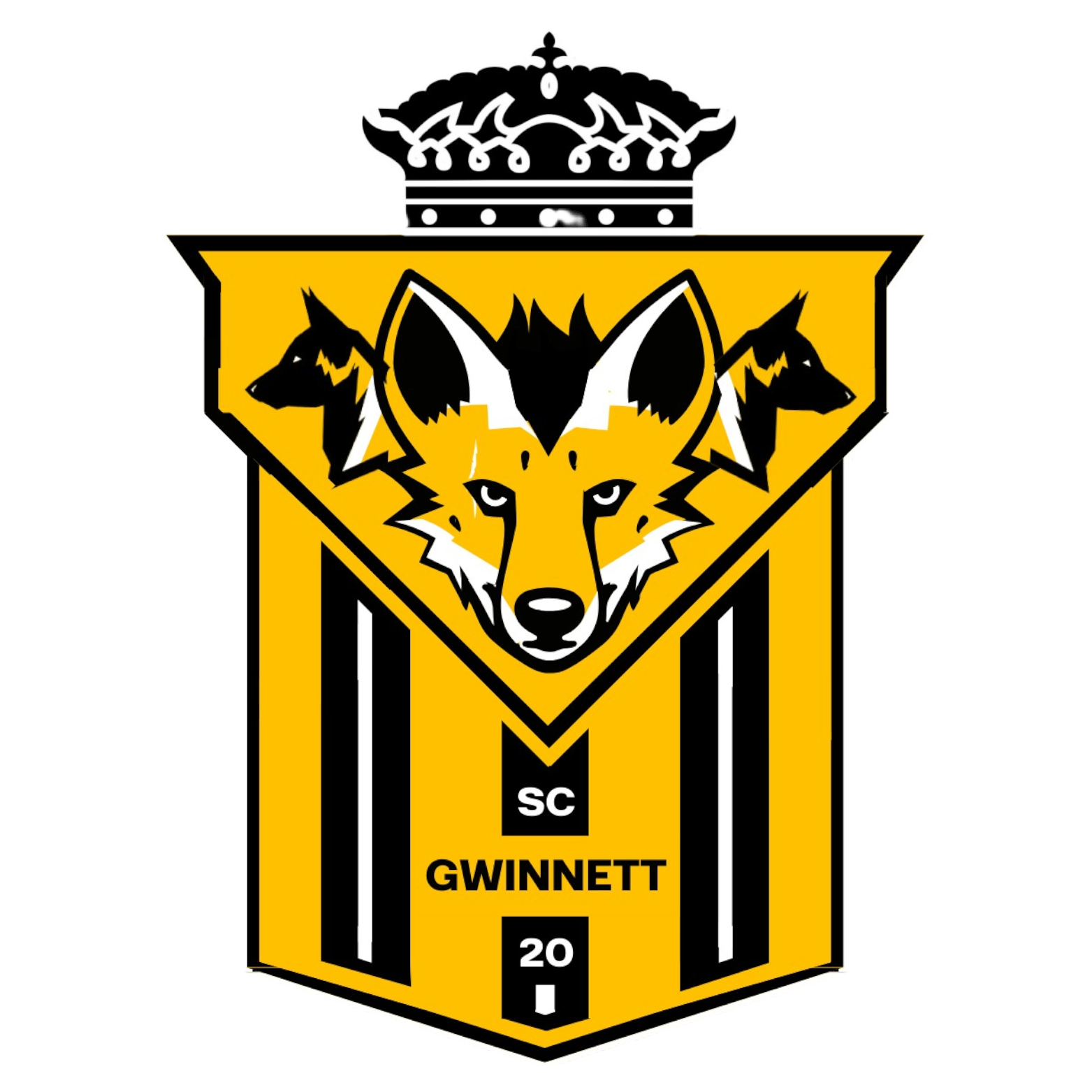 American Premier Soccer League