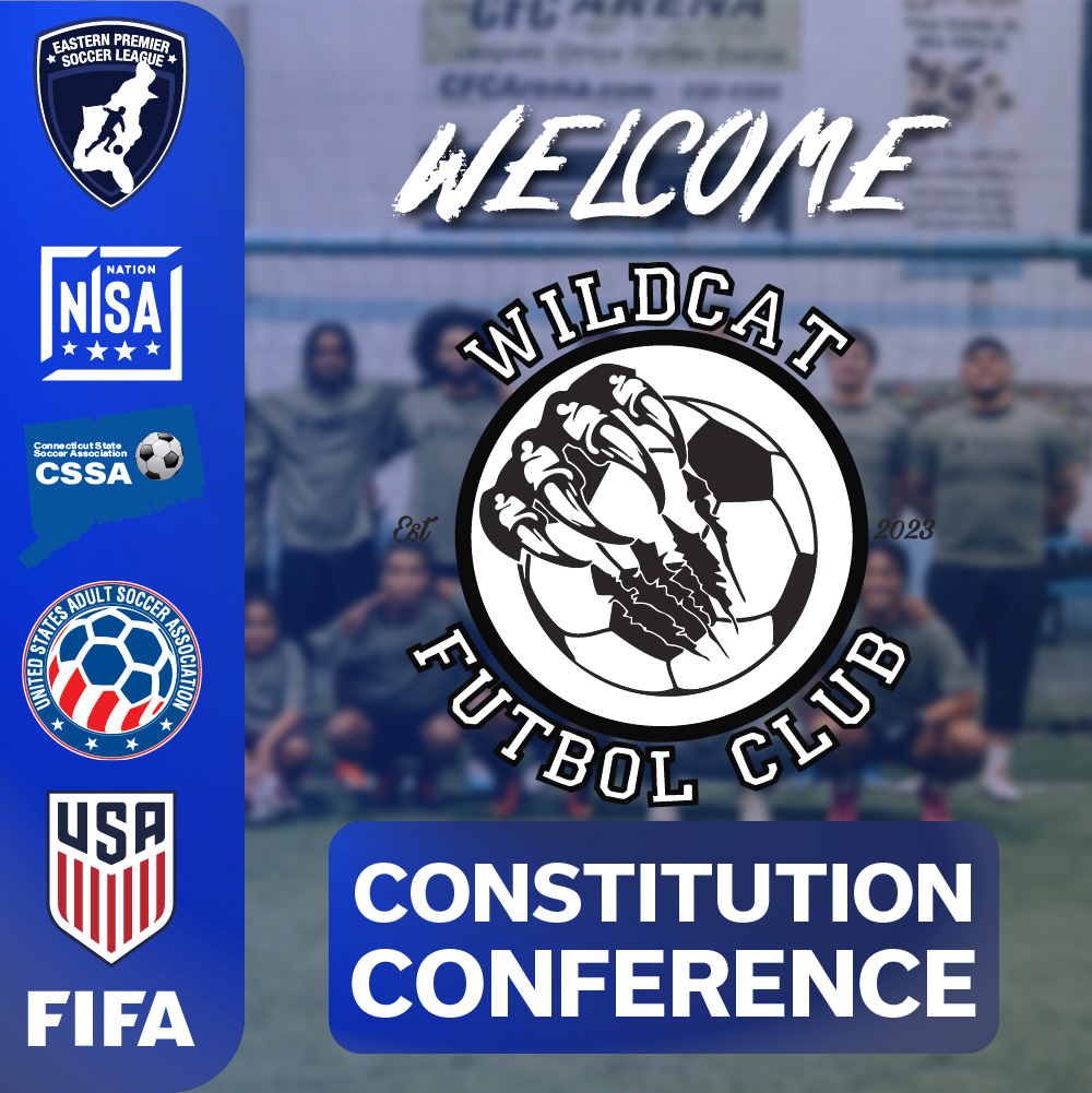 American Premier Soccer League