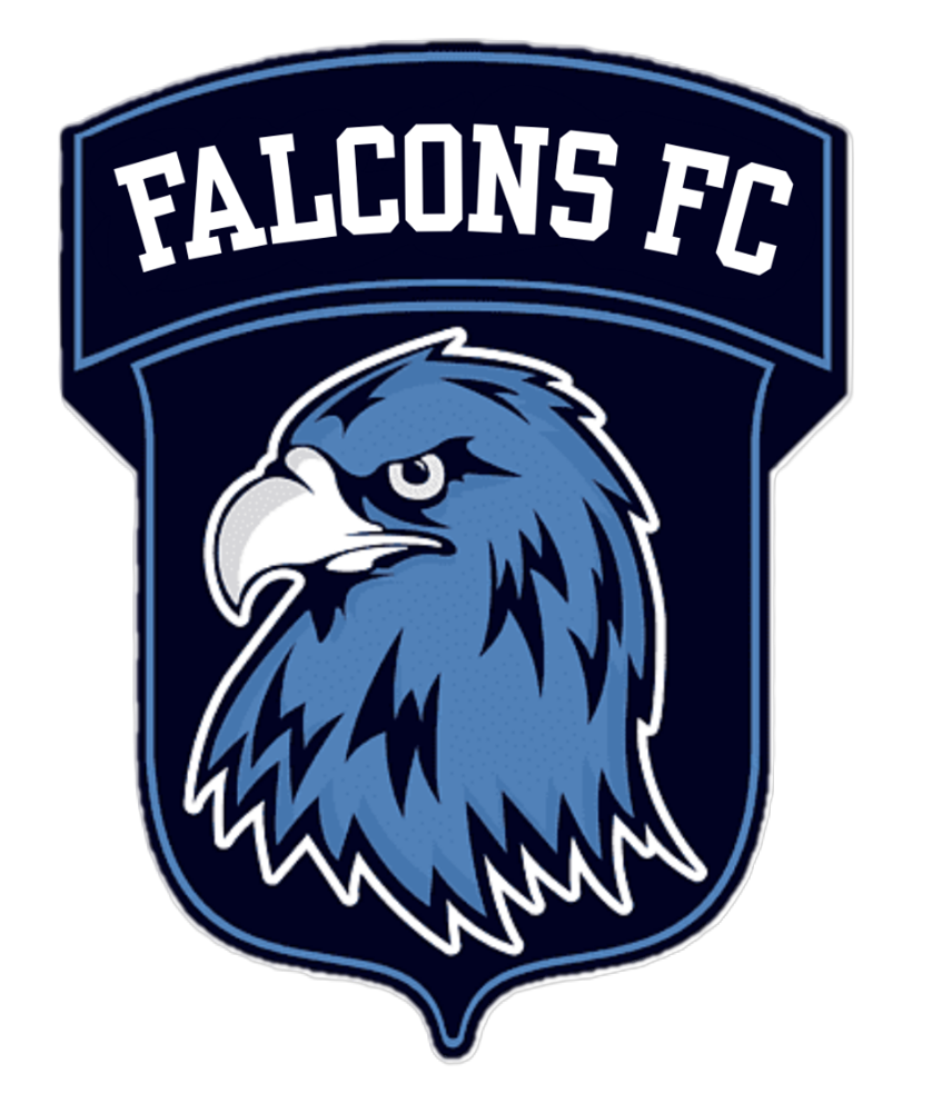 American Premier Soccer League